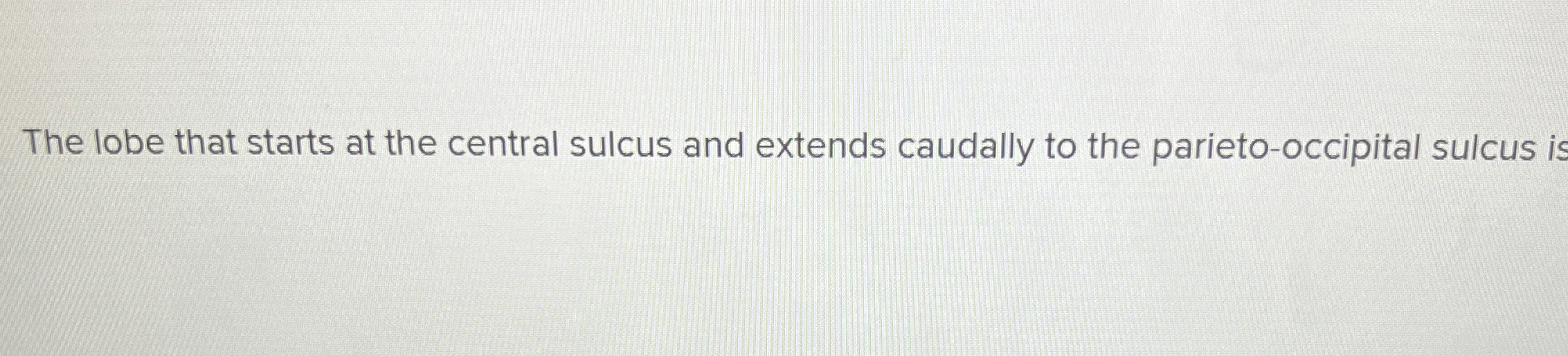 Solved The lobe that starts at the central sulcus and | Chegg.com