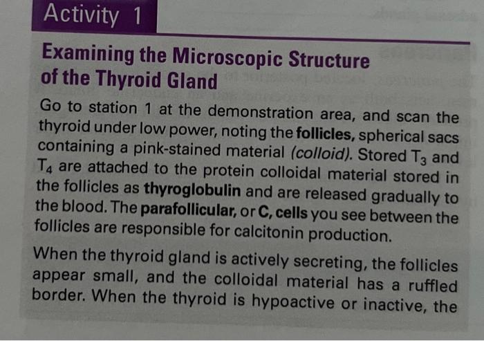 Solved Examining the Microscopic Structure of the Thyroid | Chegg.com