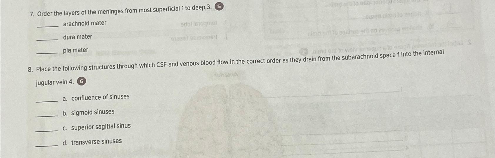 Solved Order the layers of the meninges from most | Chegg.com