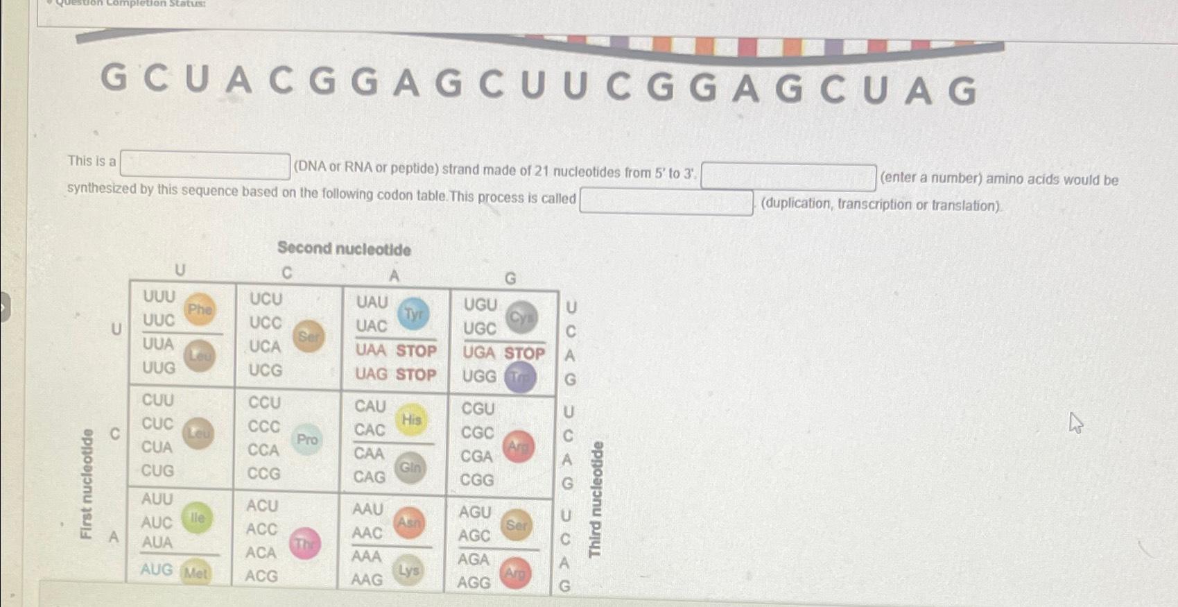 Solved G CUACGGAGCUUCGGAGCUAGsynthesized by this sequence | Chegg.com