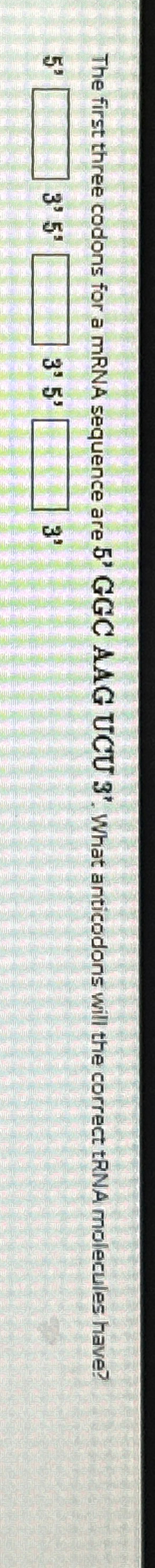 Solved The first three codons for a mRNA sequence are 5 ' | Chegg.com
