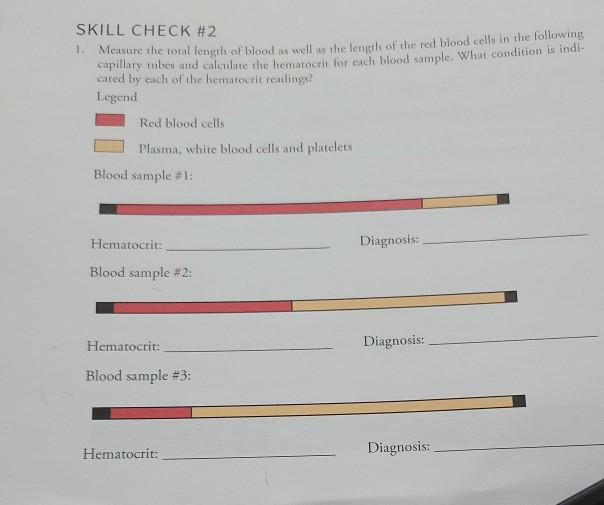 Solved SKILL CHECK #2 1. Measure the total length of blood | Chegg.com