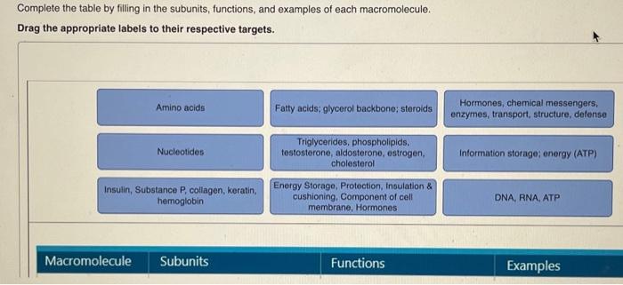 Solved Complete the table by filling in the subunits, | Chegg.com