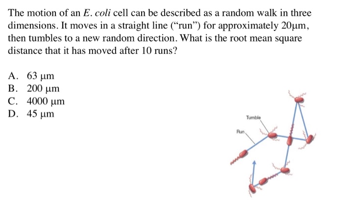 Solved The motion of an E. coli cell can be described as a | Chegg.com
