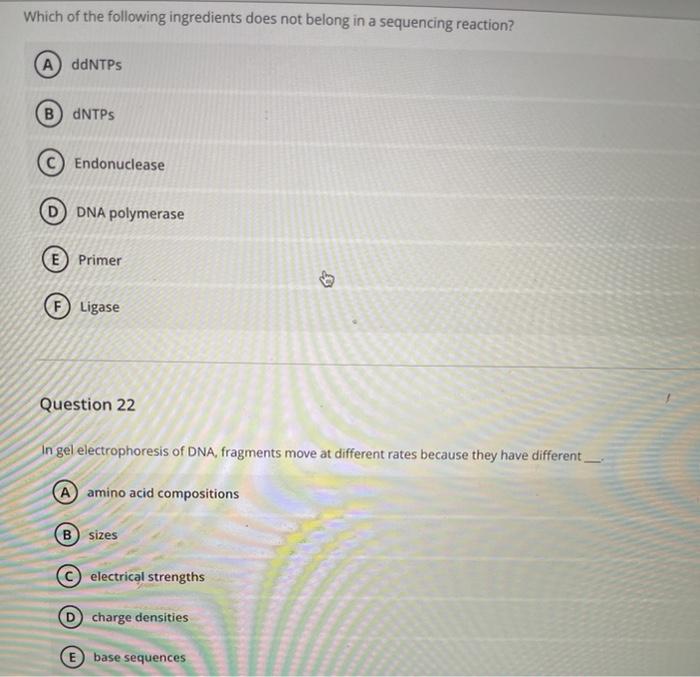 Solved A sample 5kb linear piece of DNA is cut with an | Chegg.com