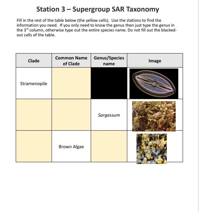 Solved Station 3 - Supergroup SAR Taxonomy Fill in the rest | Chegg.com