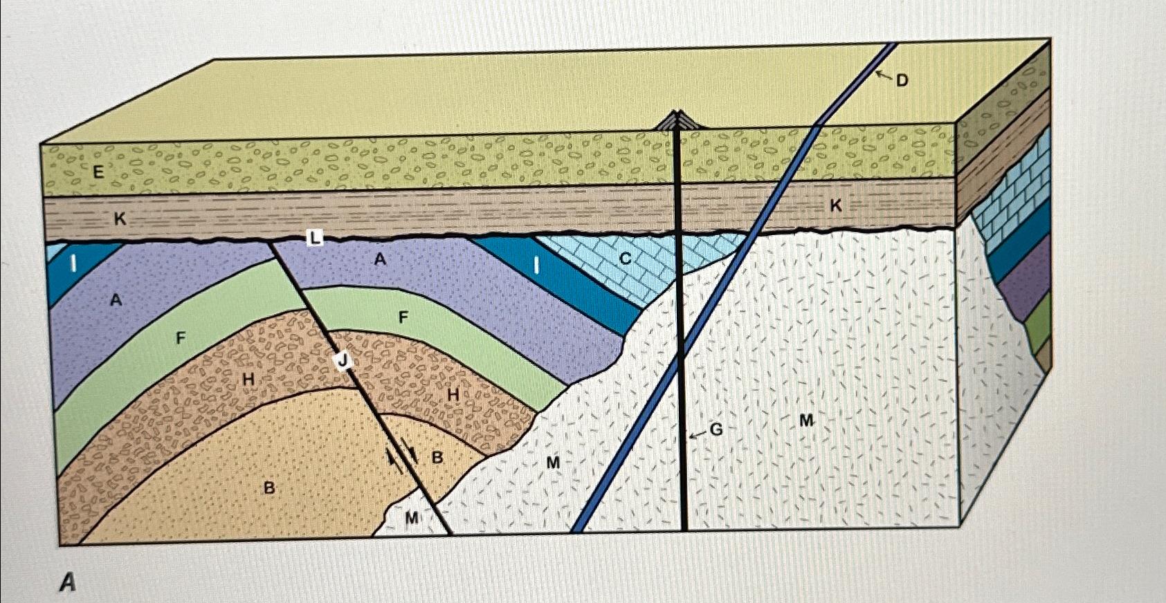 Solved Looking at Figure 1.6A, ﻿what principle did you use | Chegg.com