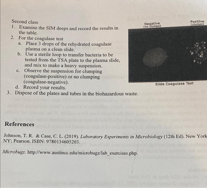 Solved SIM and Coagulase Lab Objectives After completing | Chegg.com