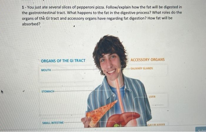 Solved 1 - You just ate several slices of pepperoni pizza. | Chegg.com