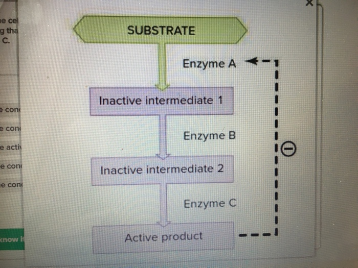 Solved me cel g tha SUBSTRATE Enzyme A Inactive intermediate | Chegg.com