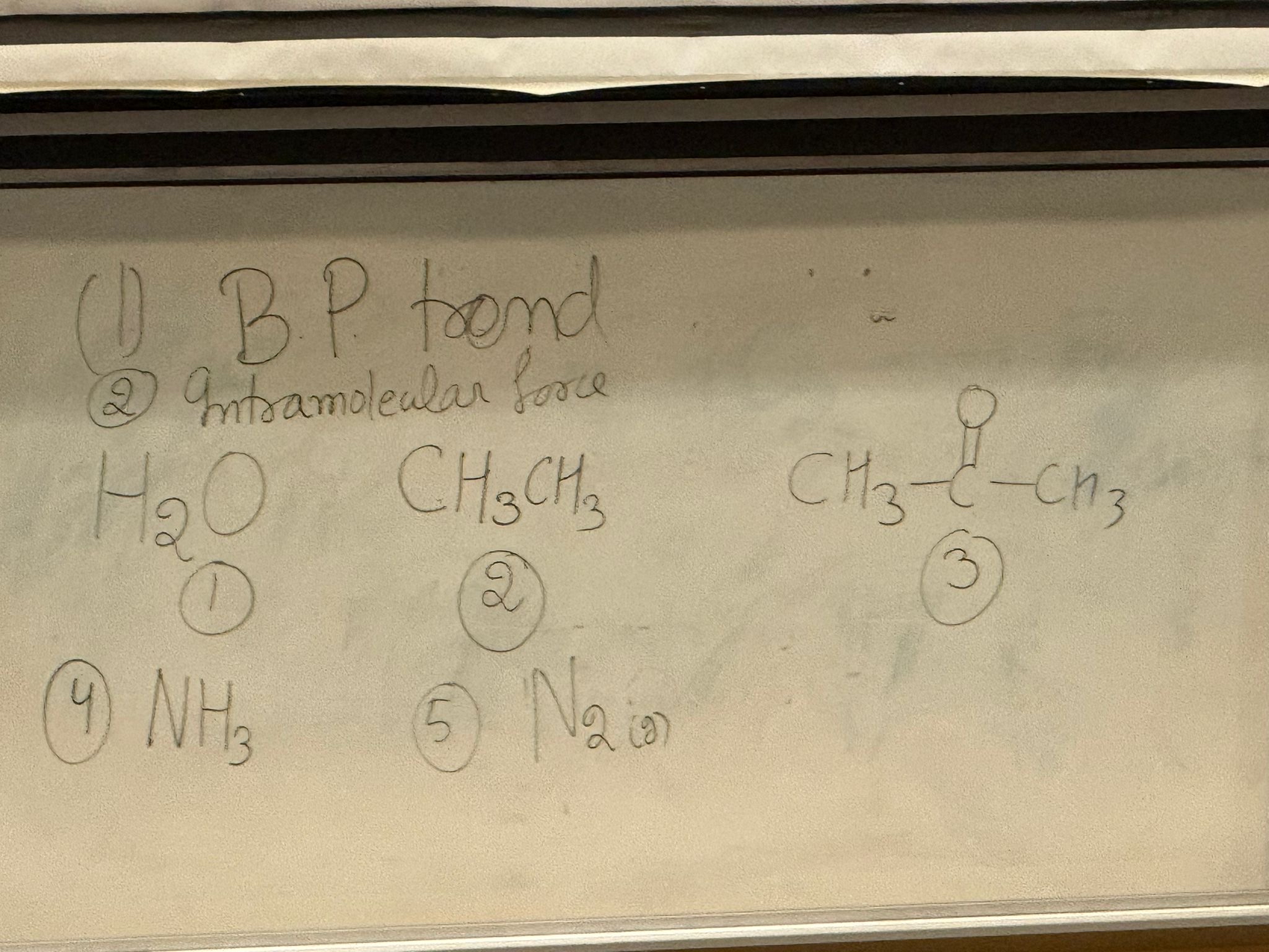 Solved (1) ﻿BP trond(2) 9ntrambeelear | Chegg.com