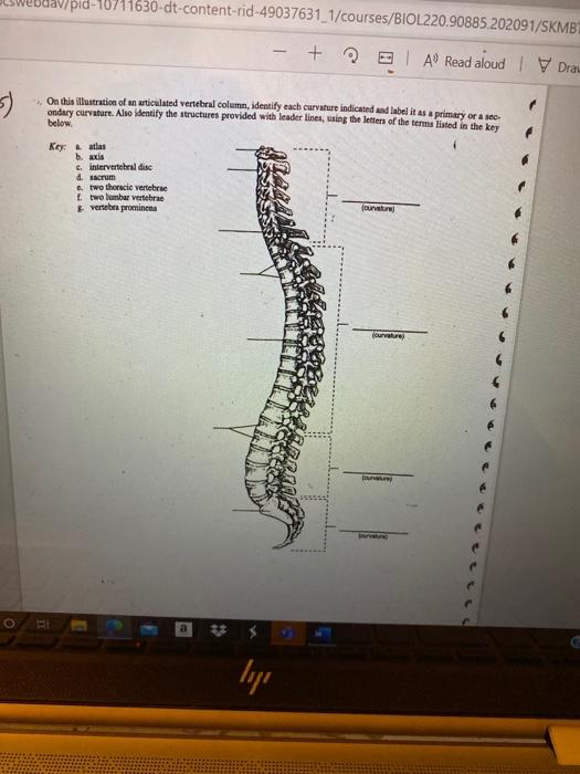 Solved Question | Chegg.com