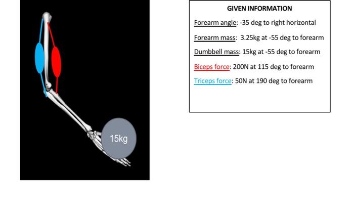 Solved A person is lifting a 15kg dumbbell. Using the | Chegg.com