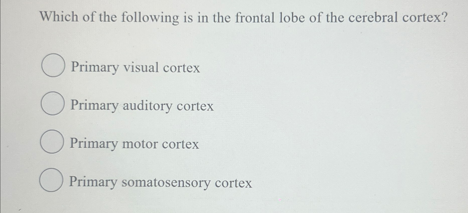 Solved Which of the following is in the frontal lobe of the | Chegg.com