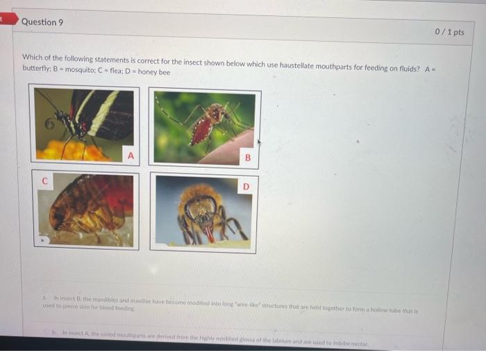 Solved Which of the following statements is correct for the | Chegg.com