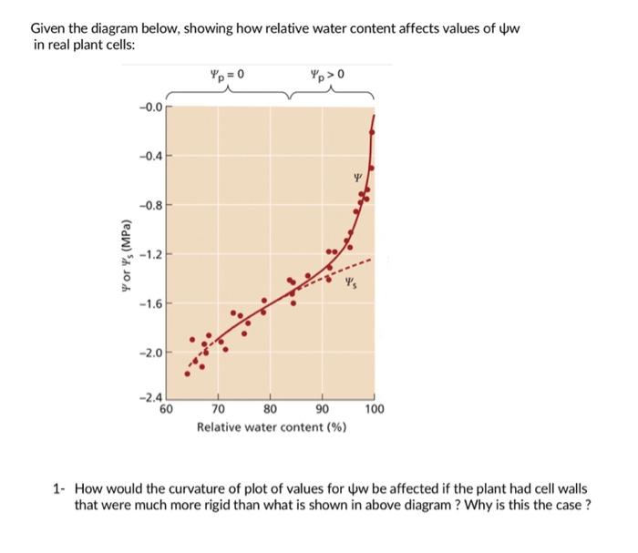 Solved Given the diagram below, showing how relative water | Chegg.com
