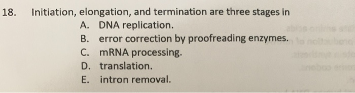 Solved 18. Initiation, elongation, and termination are three | Chegg.com