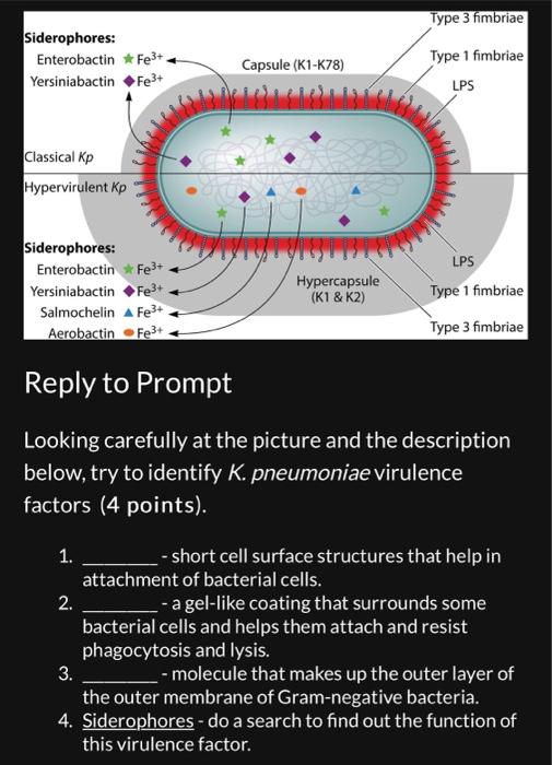 Solved Reply to Prompt Looking carefully at the picture and | Chegg.com