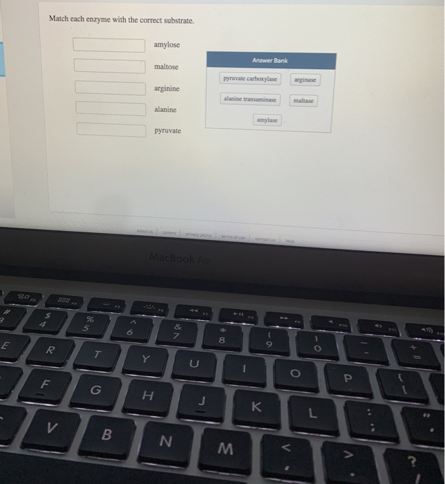 Solved Match each enzyme with the correct substrate. amylose | Chegg.com
