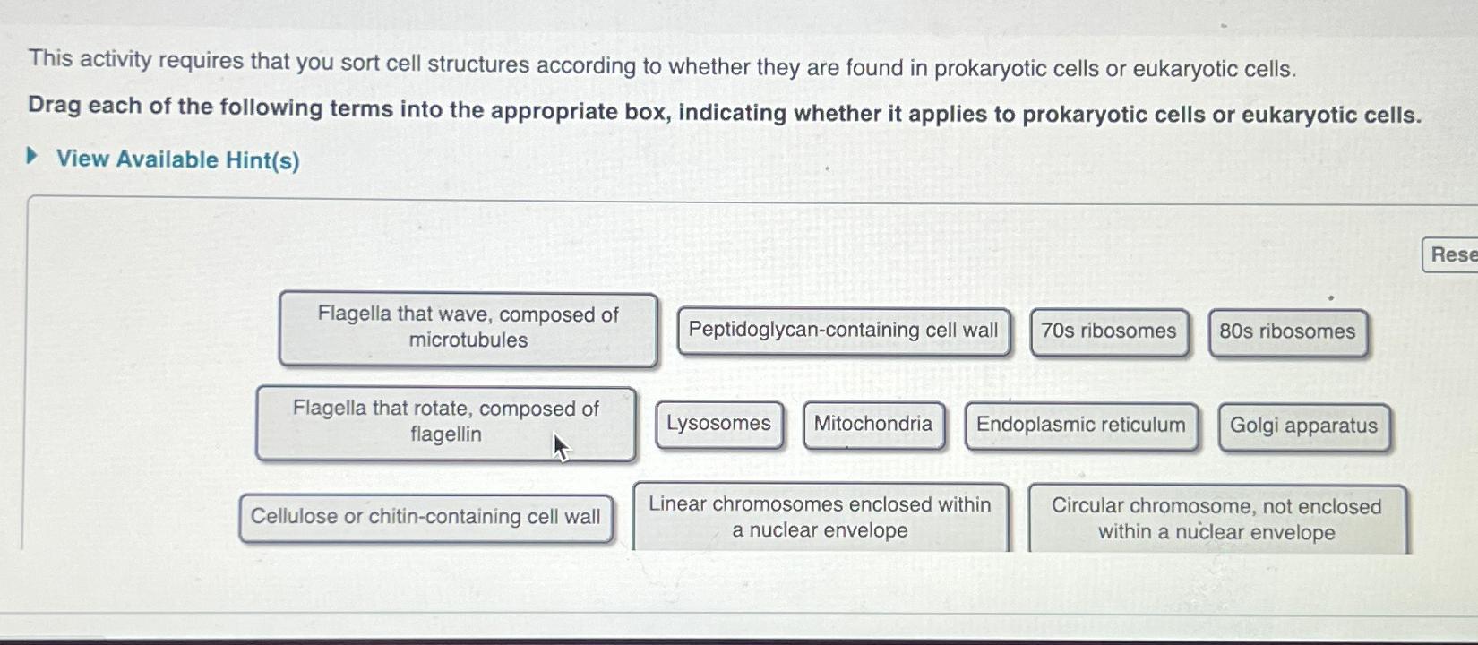 Solved This activity requires that you sort cell structures | Chegg.com