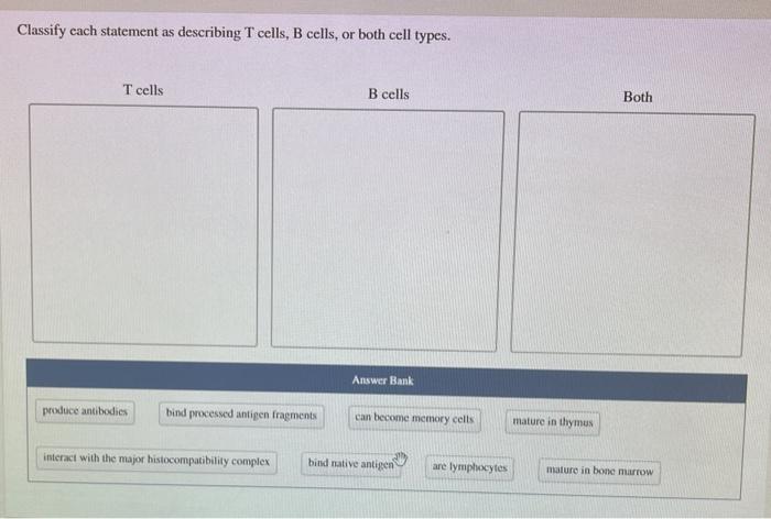 Solved Classify cach statement as describing T cells, B | Chegg.com