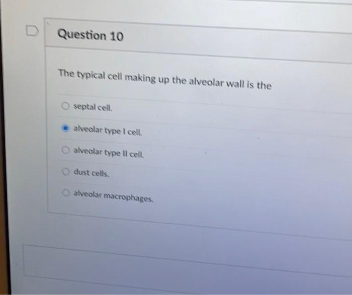 Solved Question 10 The typical cell making up the alveolar | Chegg.com