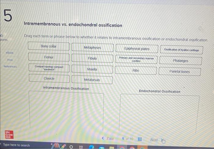 Solved Intramembranous Vs Endochondral Ossification Drag
