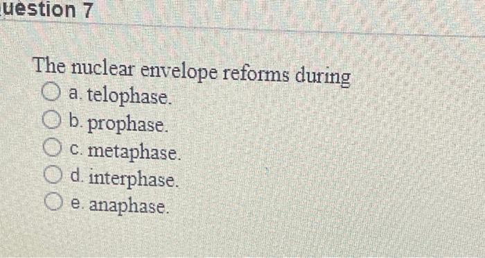 Solved uestion 7 The nuclear envelope reforms during a. | Chegg.com
