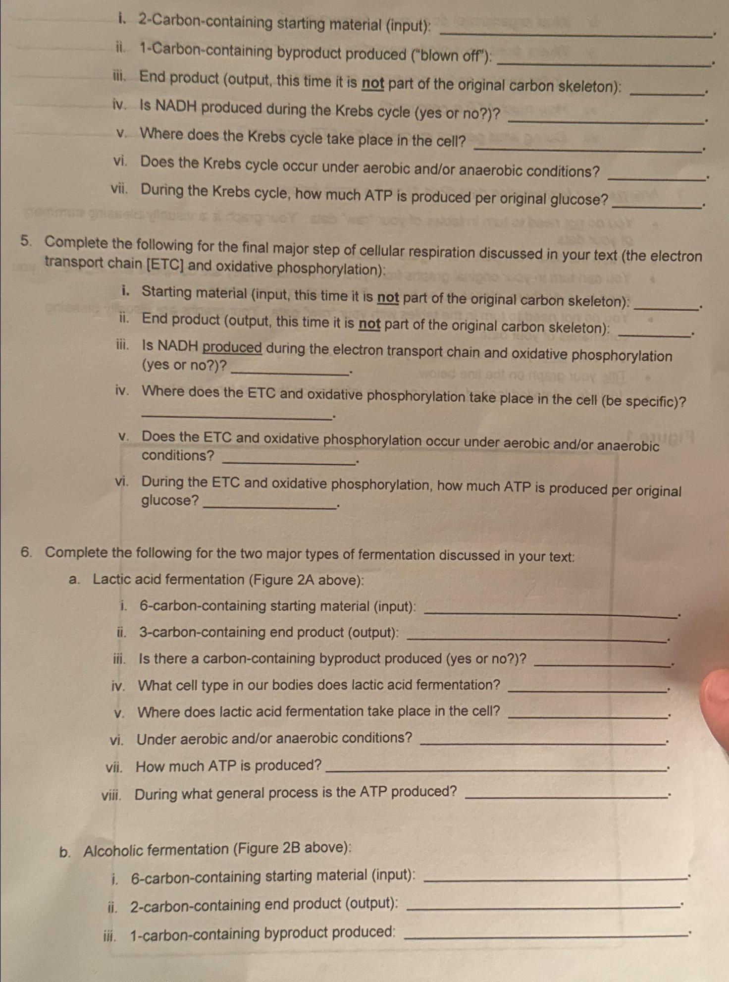 Solved i. 2-Carbon-containing starting material | Chegg.com