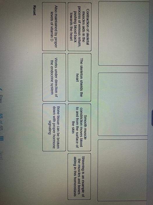 Solved Saved Help Categorize the following options regarding | Chegg.com