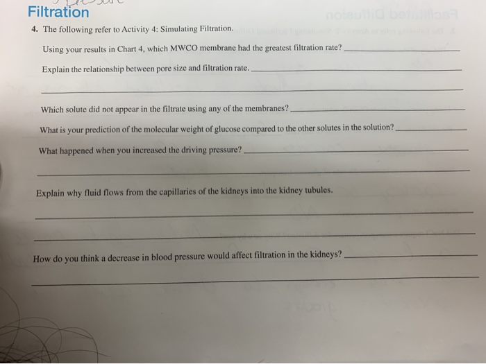 Solved Filtration 4. The following refer to Activity 4: | Chegg.com