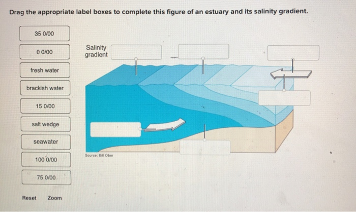 Solved Drag the appropriate label boxes to complete this | Chegg.com