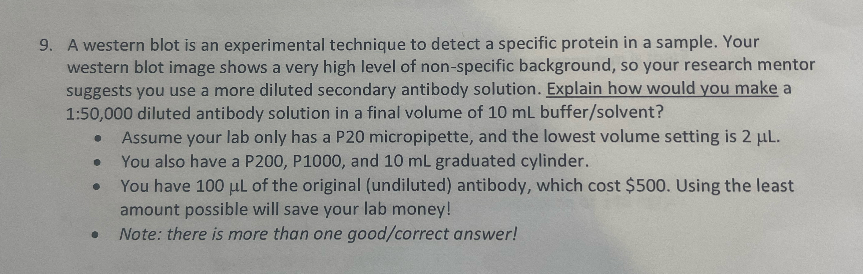 Solved A western blot is an experimental technique to detect | Chegg.com