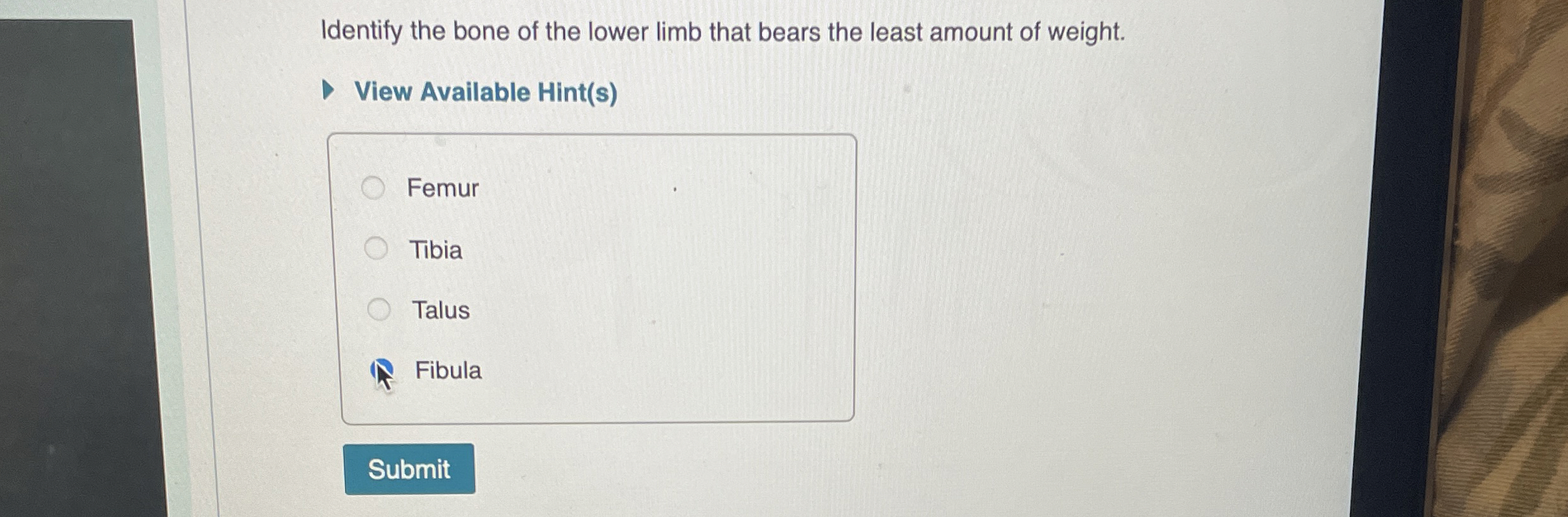 Solved Identify the bone of the lower limb that bears the | Chegg.com