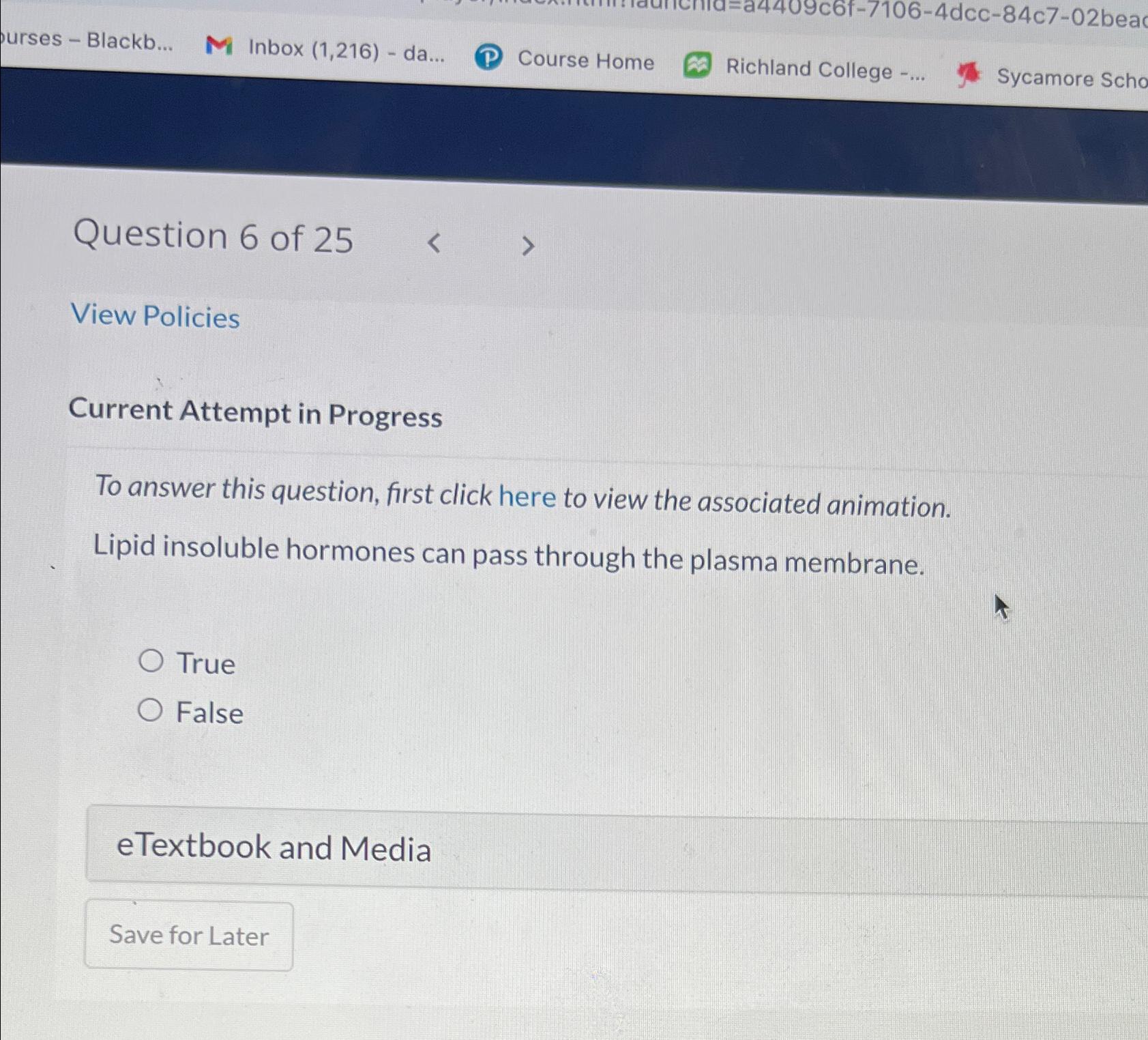 Solved Question 6 ﻿of 25View PoliciesCurrent Attempt in | Chegg.com