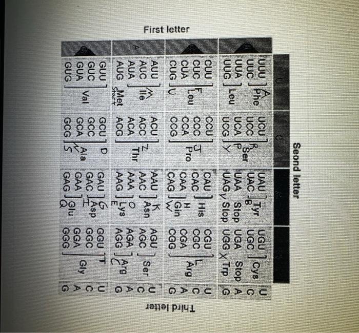 Solved Gene Expression Scavenger Hunt Please utilize your | Chegg.com
