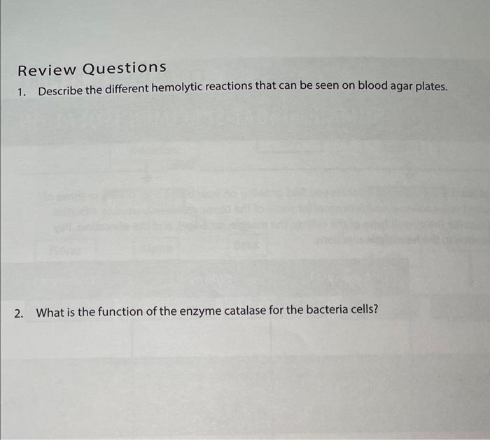 Solved Review Questions 1. Describe the different hemolytic | Chegg.com Solved Review Questions 1. Describe the different hemolytic | Chegg.com