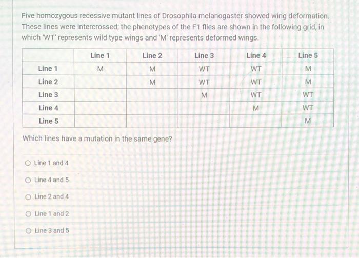 Solved Five homozygous recessive mutant lines of Drosophila | Chegg.com