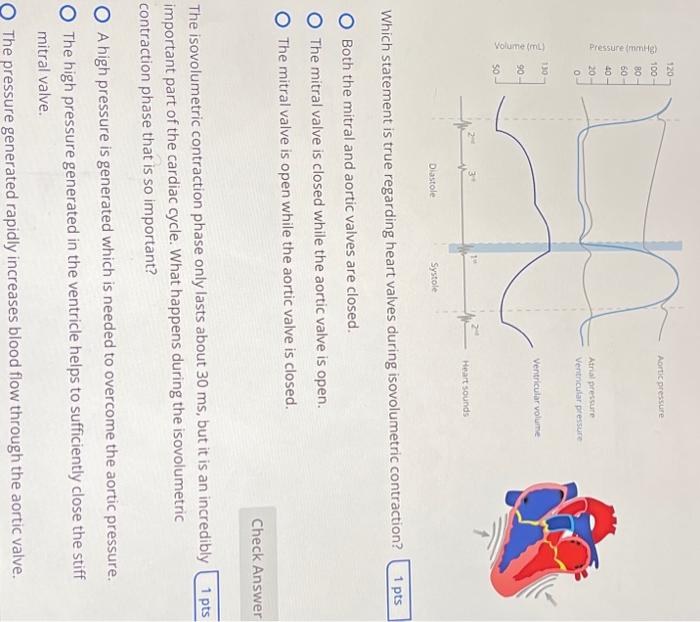 Solved Isovolumetric relaxation Ventricular diastole is the | Chegg.com
