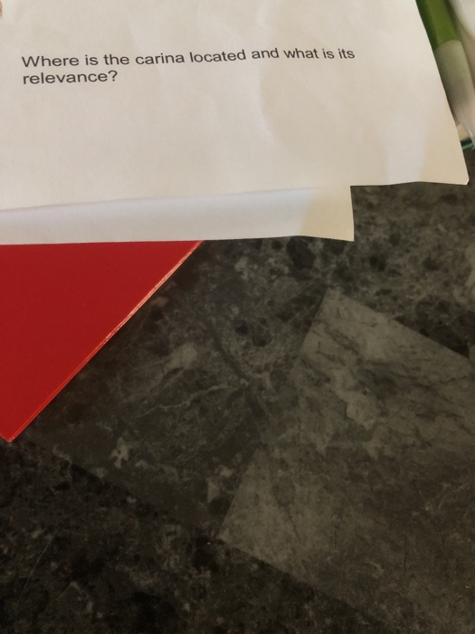 Solved Where is the carina located and what is its | Chegg.com