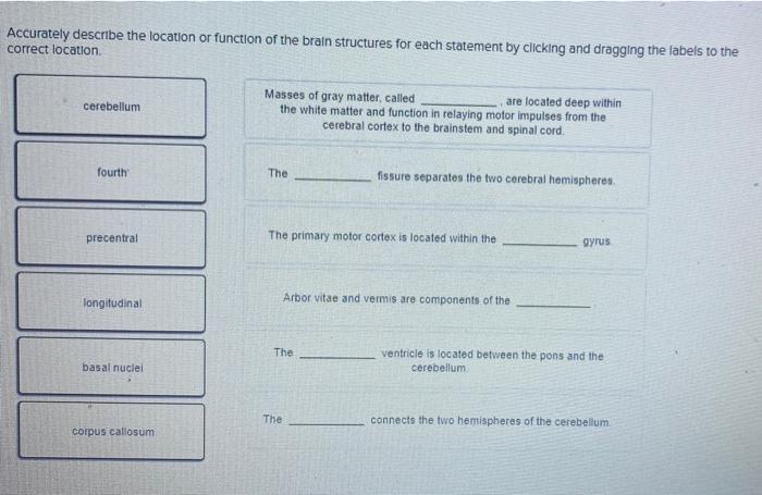 Solved Accurately describe the location or function of the | Chegg.com