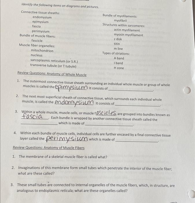 Solved Identify the following items on diagrams and | Chegg.com