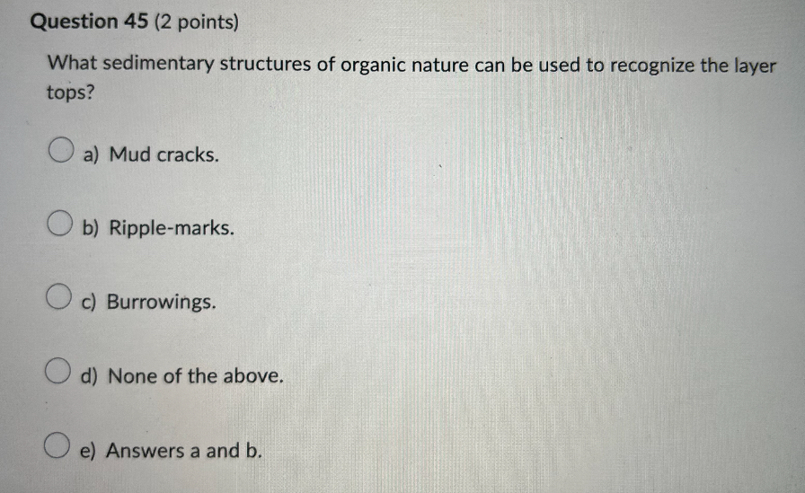 Solved Question 45 (2 ﻿points)What sedimentary structures of | Chegg.com