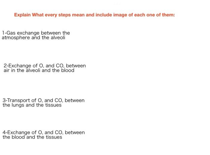 Solved explain each step of external respiration and | Chegg.com