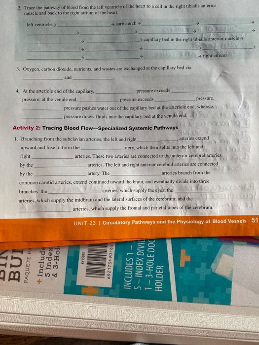 Solved 2. Trace the pathway of blood from the left ventricle | Chegg.com