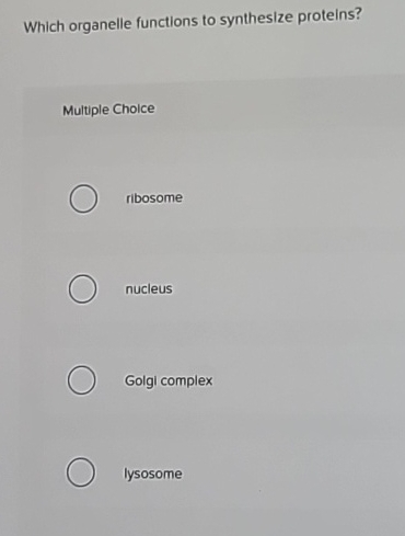 Solved Which organelle functions to synthesize | Chegg.com