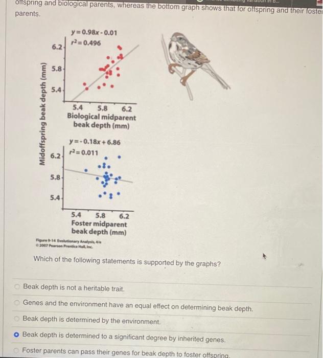 Solved This graph shows beak depth (thickness) of parent and | Chegg.com