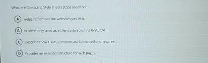 Solved Whak are Cascading Style Sheets (CSS) ﻿used for?Helps | Chegg.com