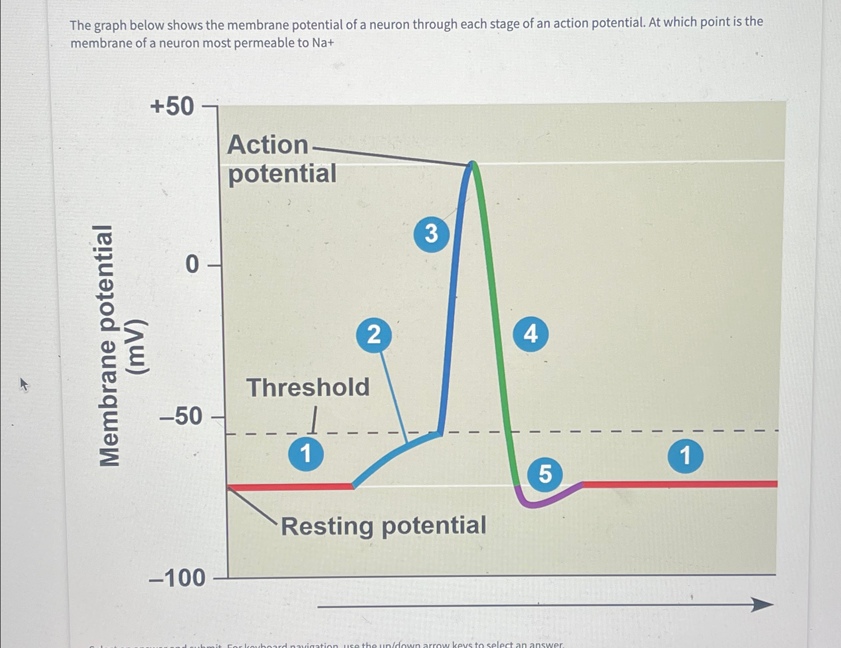 Solved The graph below shows the membrane potential of a | Chegg.com