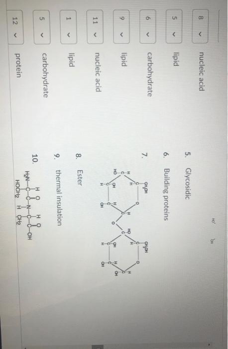 Solved For each section in the table, identify the | Chegg.com